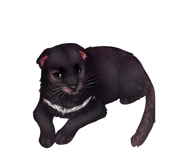 Scottish Devil (#800) | Figment