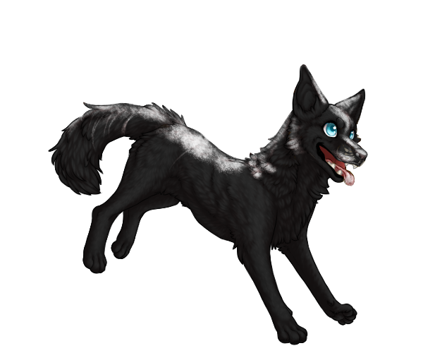 Snowy Black Wolf (#8999) | Figment