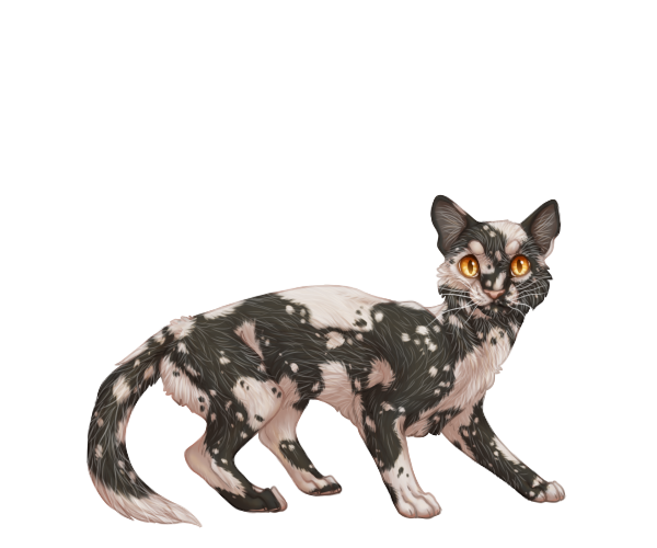 Chaos (#4835) | Figment