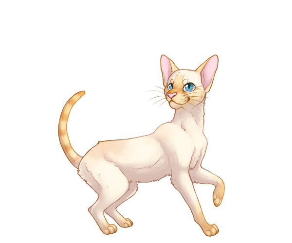 Snowball (#10) | Figment